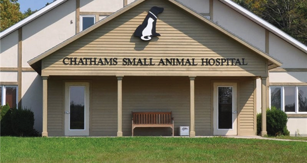 Chathams Small Animal Hospital - Request an Appointment