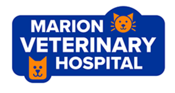 Marion Veterinary Hospital - Book an Appointment