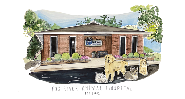 Fox River Animal Hospital - Book an Appointment