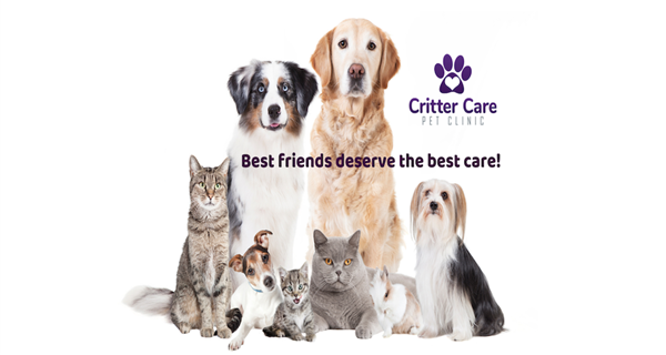 Critter Care Pet Clinic - Request an Appointment