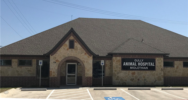 Gully Animal Hospital of Midlothian - Request an Appointment