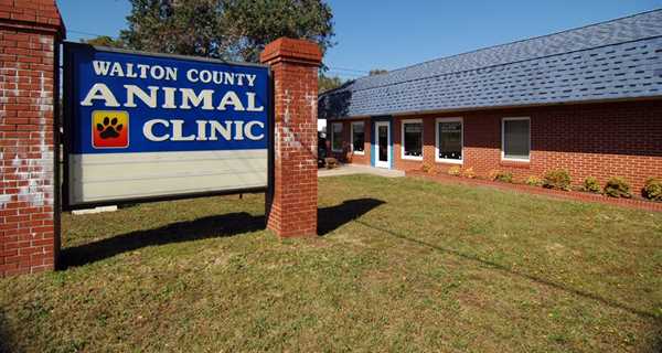 Walton County Animal Clinic - Request an Appointment